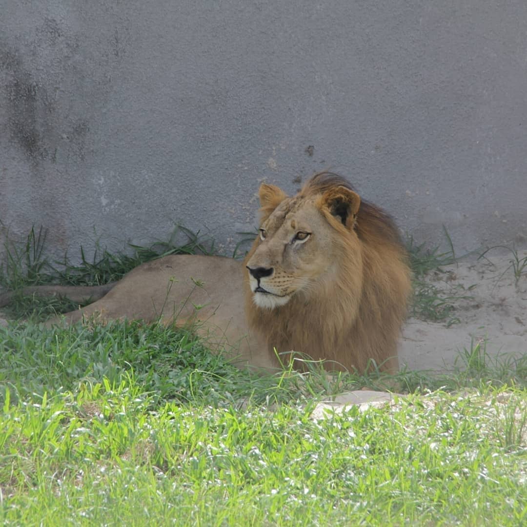 Get to know Omu Resort (with Amazing Photos) - The Retna Blog